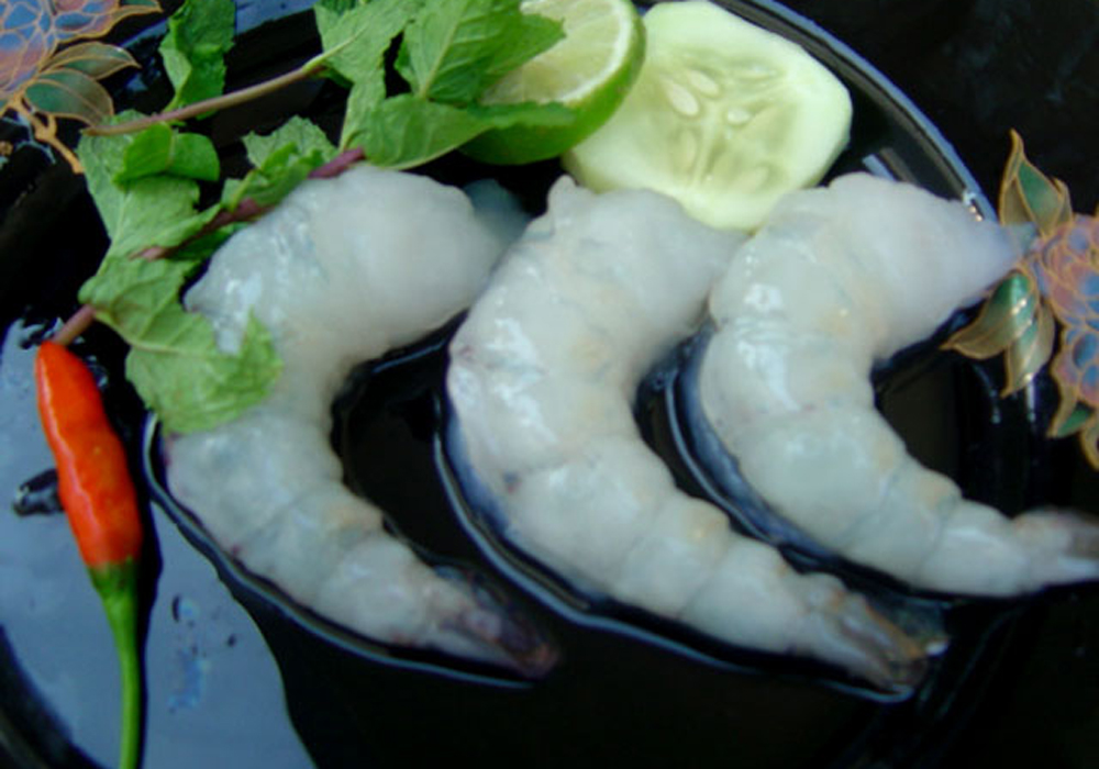 Sea Water Cat Tiger Shrimps – Shrimps Source International