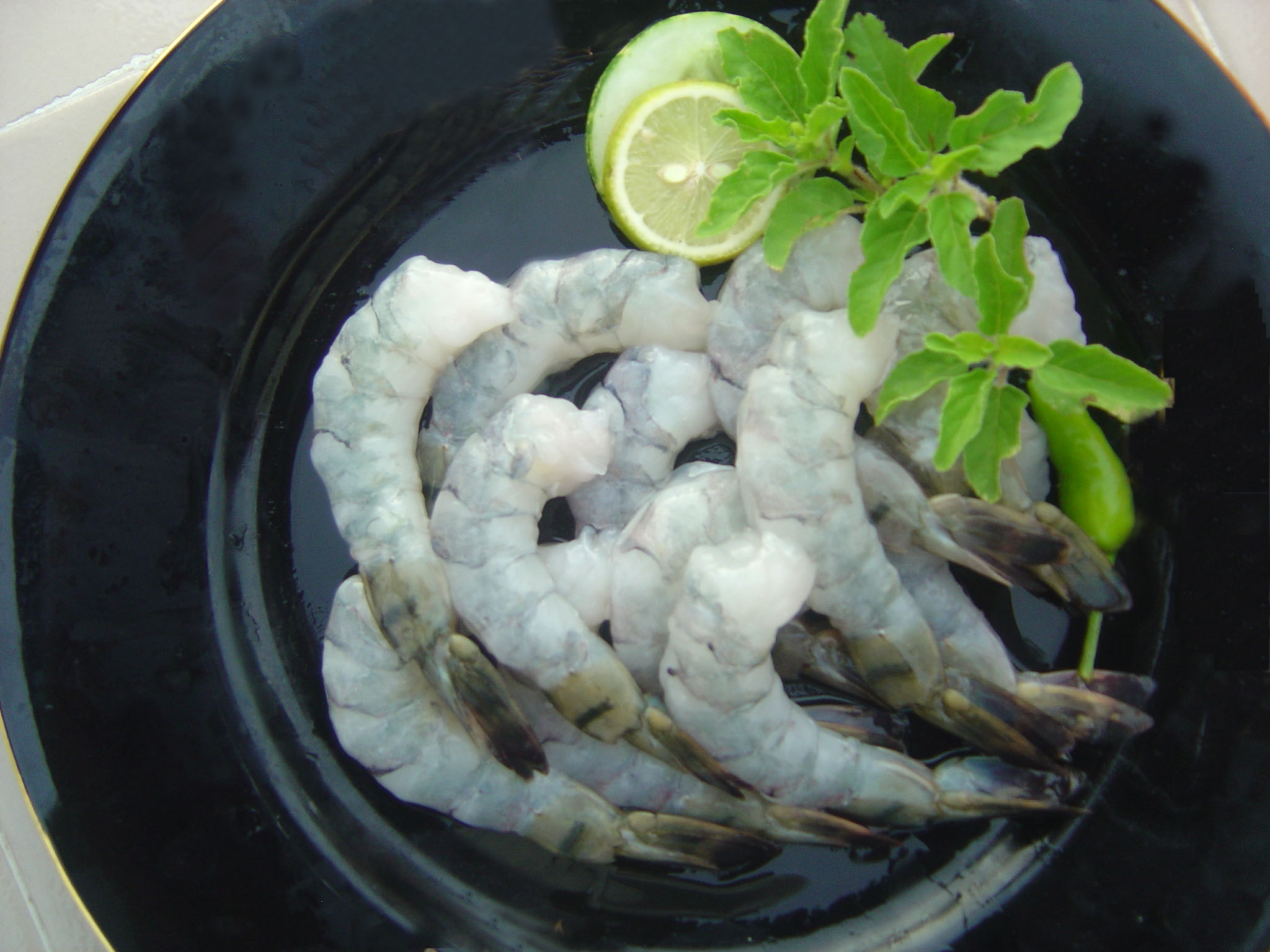 Sea Water Harina Shrimps – Shrimps Source International